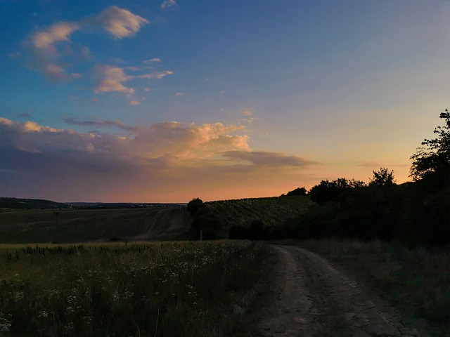 Country Nature Polia The - Free photo on Pixabay - Pixabay