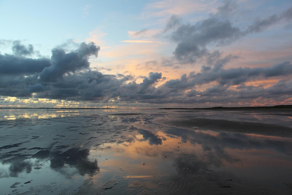 North Sea Beach - Free photo on Pixabay - Pixabay