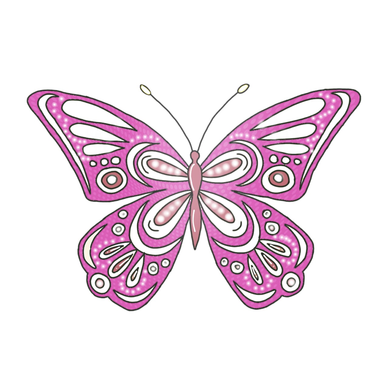 Luonne Perhonen Siivet - Ilmainen valokuva Pixabayssa - Pixabay