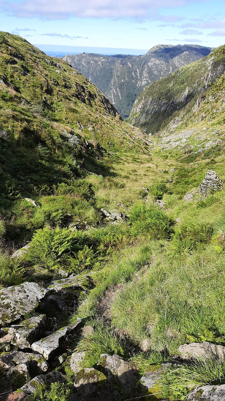 Valley Mountain Meadow - Free photo on Pixabay