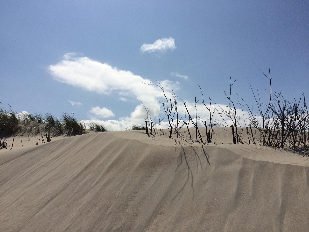 Norderney North Sea Sand Dunes - Free photo on Pixabay - Pixabay