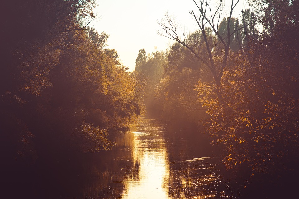 Nature A River Water Golden - Free photo on Pixabay