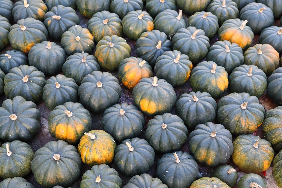 Pumpkin Vegetables October - Free photo on Pixabay