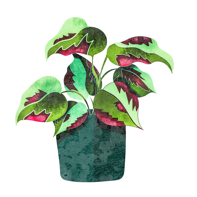 Download Plants Leaves To Grow Royalty-Free Stock Illustration Image ...