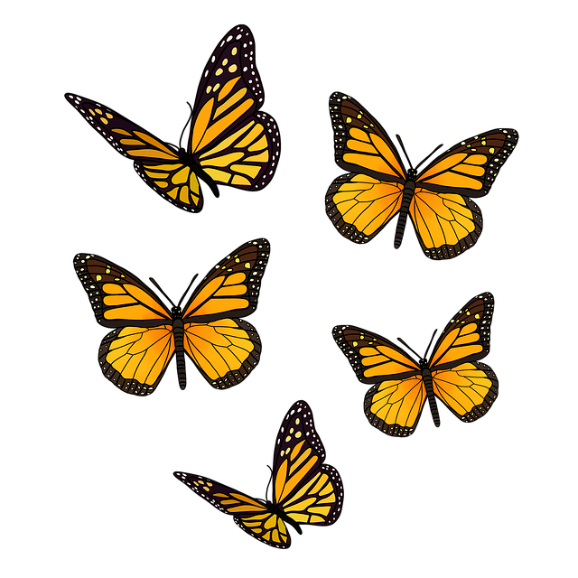 Papillon Monarque Mignonne - Image gratuite sur Pixabay