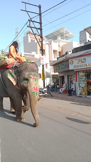 Hindu Elefante Hathi - Foto gratuita no Pixabay - Pixabay