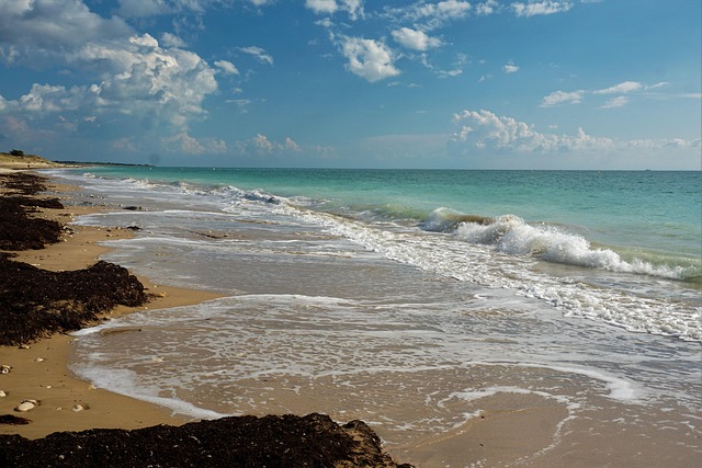Plage Mer Bleu - Photo gratuite sur Pixabay - Pixabay