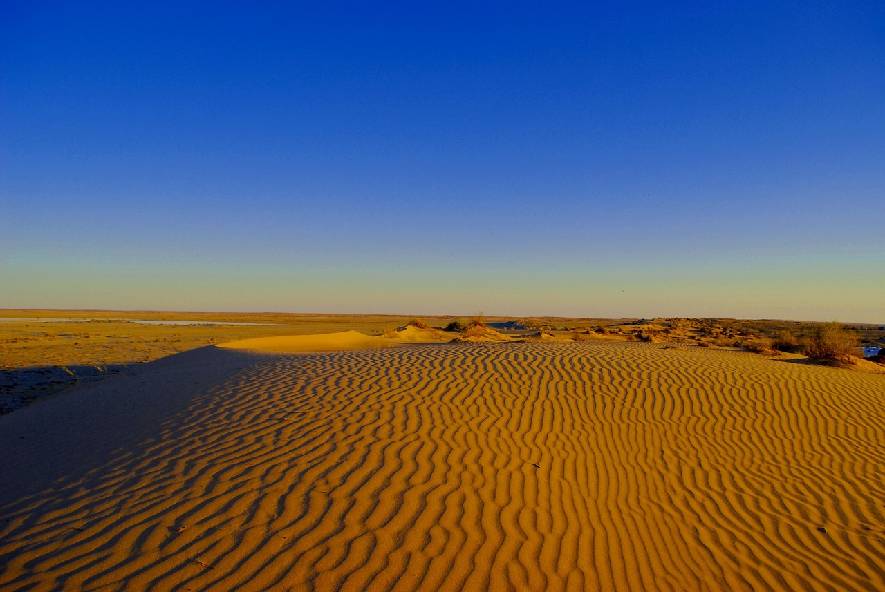 Portadores Del Desierto De Simpson