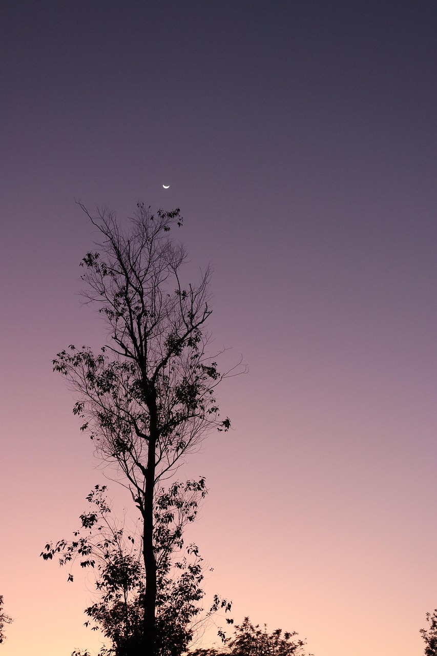 Ciel Nature Le Coucher Du Soleil - Photo gratuite sur Pixabay - Pixabay