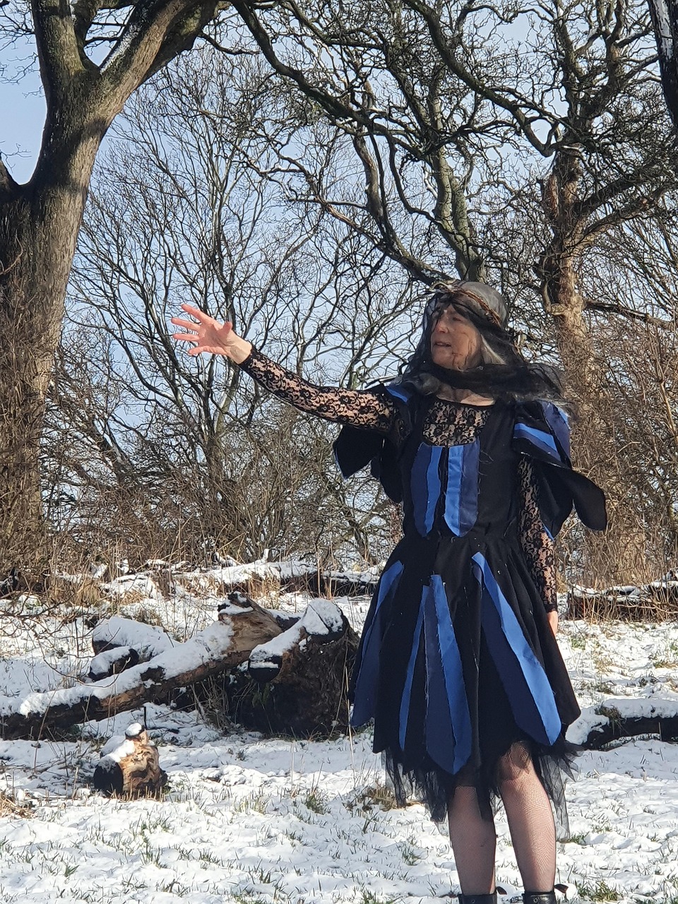 Cailleach Winter Crone Beira - Free photo on Pixabay - Pixabay