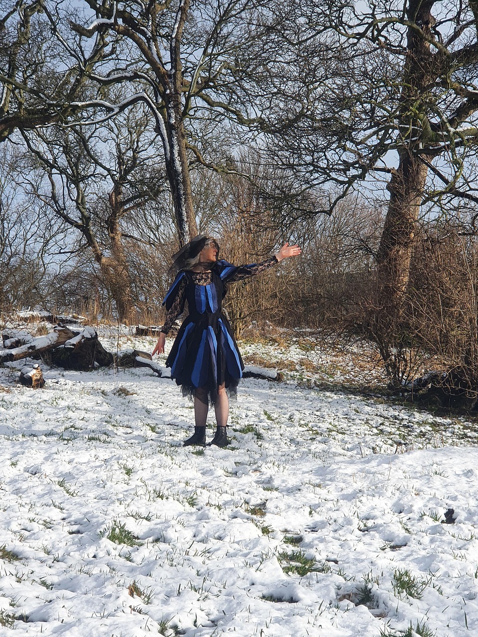 Cailleach Winter Crone Samhuinn - Free photo on Pixabay - Pixabay