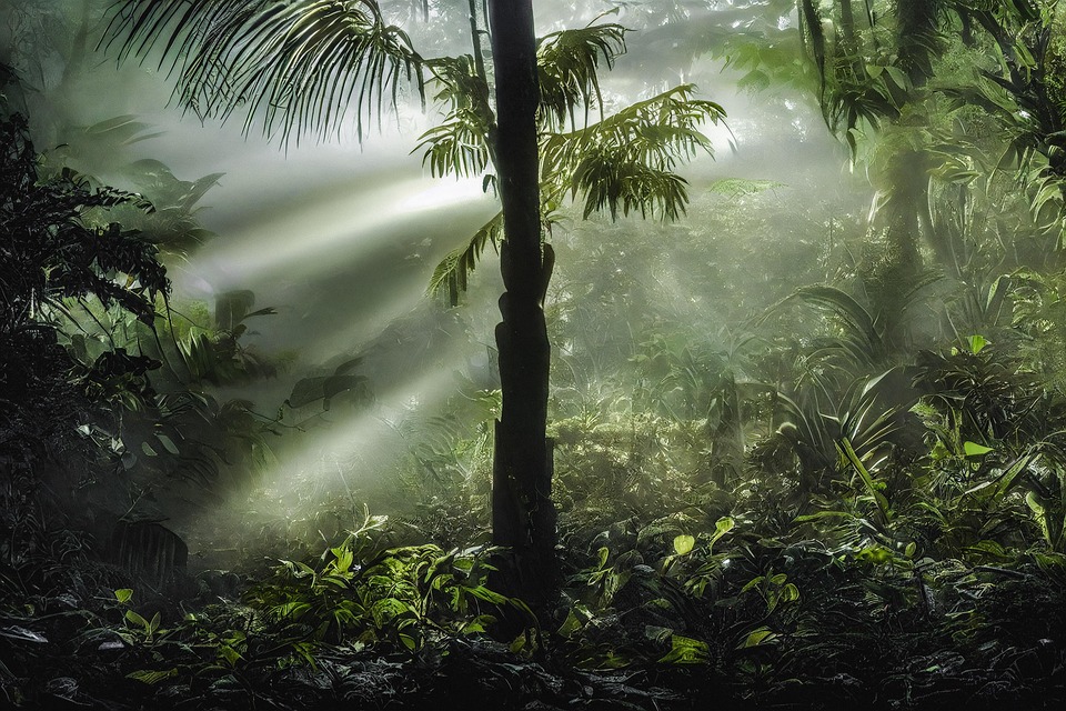 Ai Generated Jungle Tropical Free Photo On Pixabay Pixabay