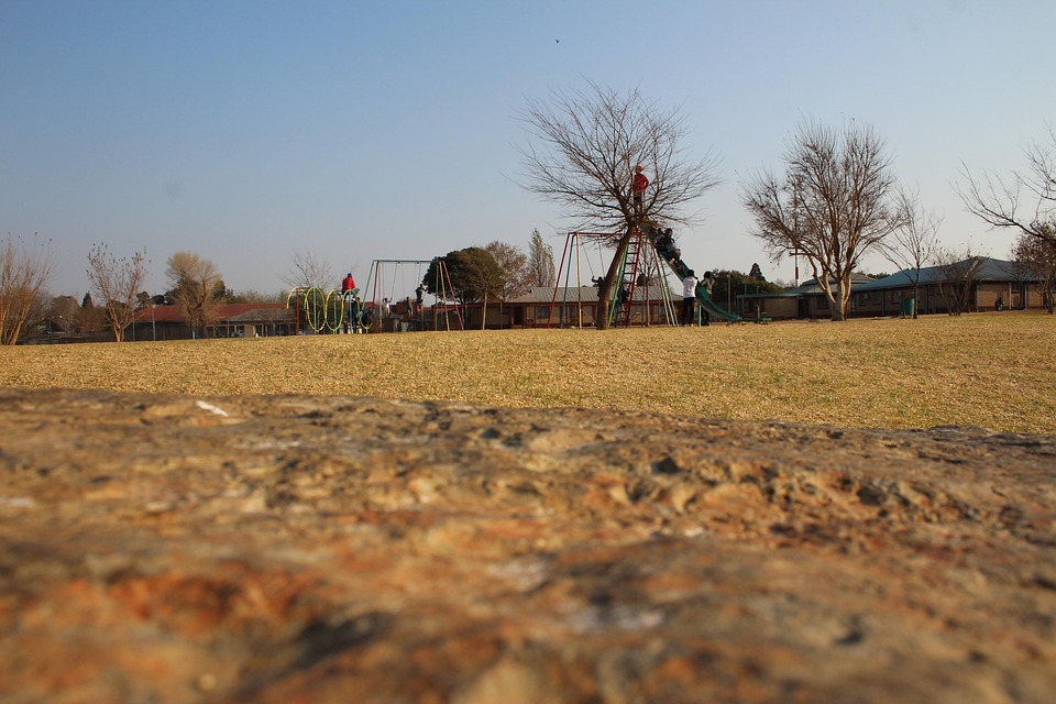 Soweto Africa Park - Free photo on Pixabay - Pixabay