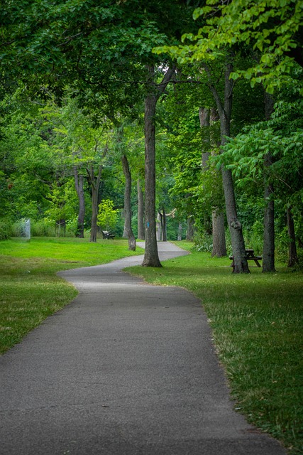 Park Trail Nature - Free photo on Pixabay
