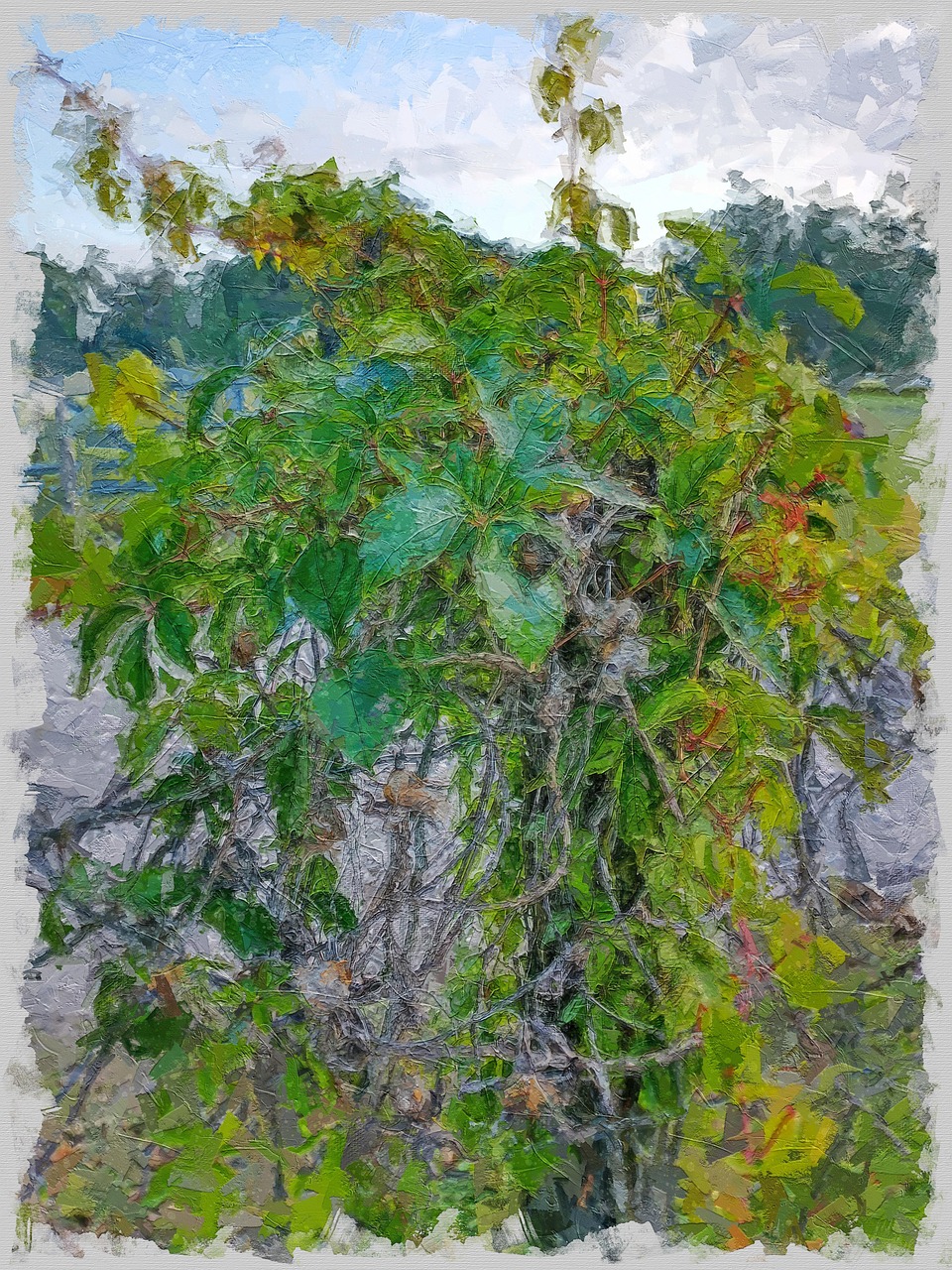 Shrubs Bushes Vine - Free photo on Pixabay - Pixabay