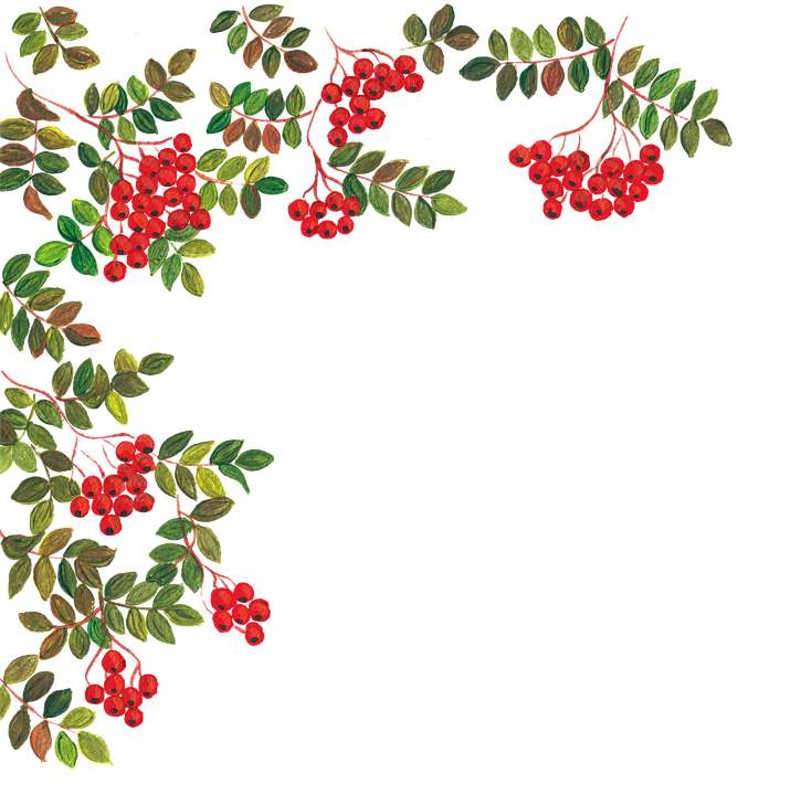 Boabe De Sorban Frunze Toamnă - Grafică vectorială gratuită pe Pixabay
