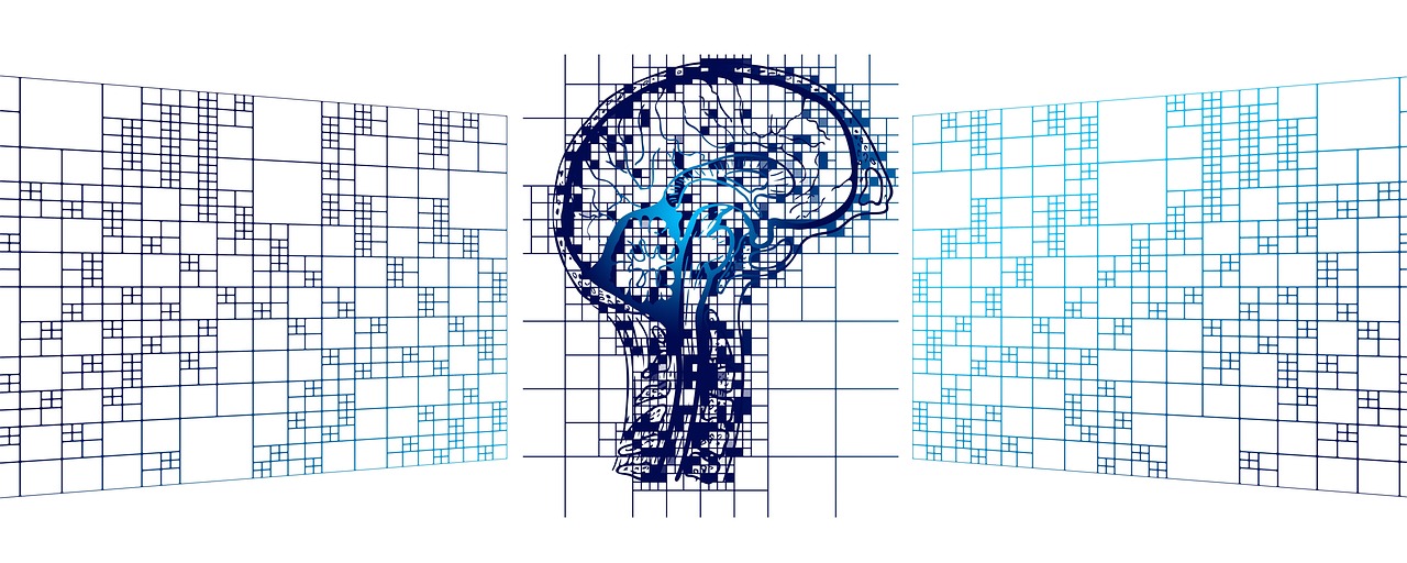 Download Brain, Memory, Design. Royalty-Free Stock Illustration Image - Pixabay