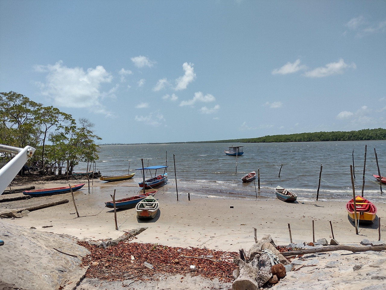 Paraíba Brasil Sea - Free photo on Pixabay - Pixabay