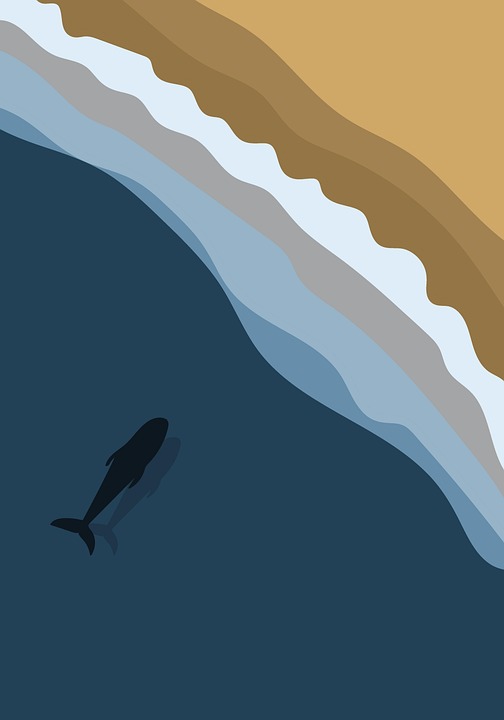 Download Sea, Water, Ocean. Royalty-Free Stock Illustration Image - Pixabay