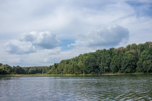 Lac Eau La Nature - Photo gratuite sur Pixabay - Pixabay