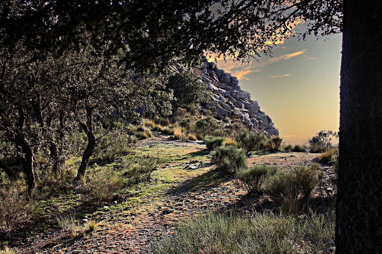 Naturaleza Montana Atardecer - Foto gratis en Pixabay - Pixabay Naturaleza Montana Atardecer - Foto gratis en Pixabay - Pixabay