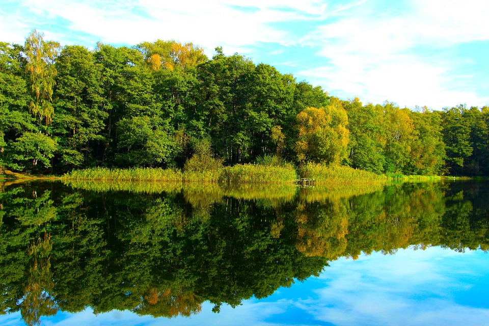 Lake Nature Forest - Free photo on Pixabay