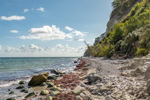 Baltic Sea Beach Cliff - Free photo on Pixabay - Pixabay