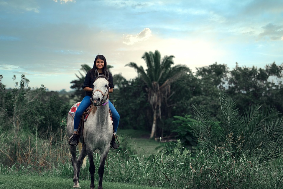 Horse Horseback Riding Countryside - Free photo on Pixabay