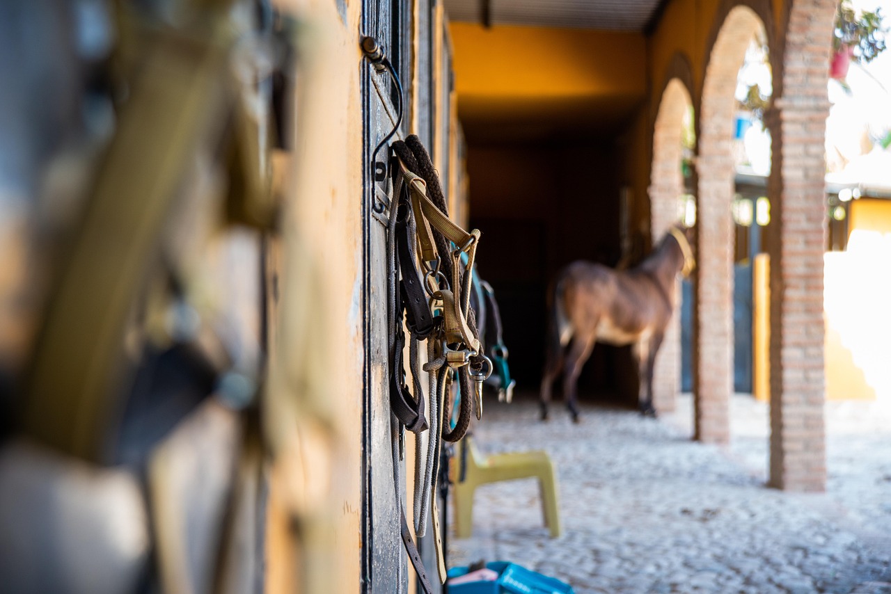 20,000+ Free Horse Stable & Horse Images - Pixabay