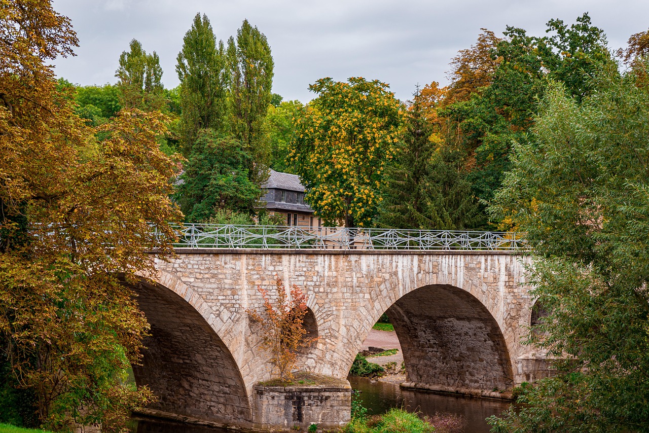Bridge Trees Fall Star - Free photo on Pixabay - Pixabay