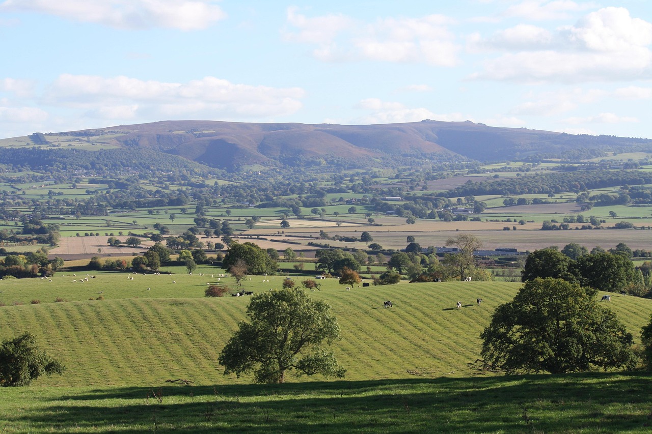Rural Countryside Landscape - Free photo on Pixabay - Pixabay