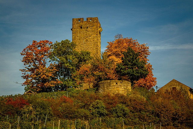 Ravensburg Sulzfeld Castle - Free photo on Pixabay - Pixabay