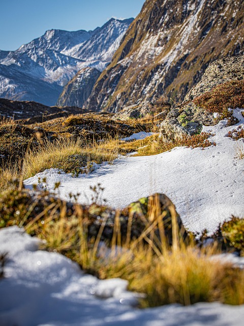 Alps Mountains Nature - Free photo on Pixabay