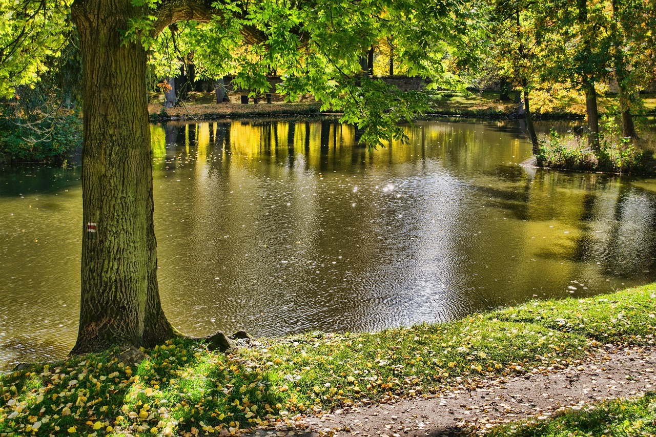 Parc Automne Étang - Photo gratuite sur Pixabay - Pixabay
