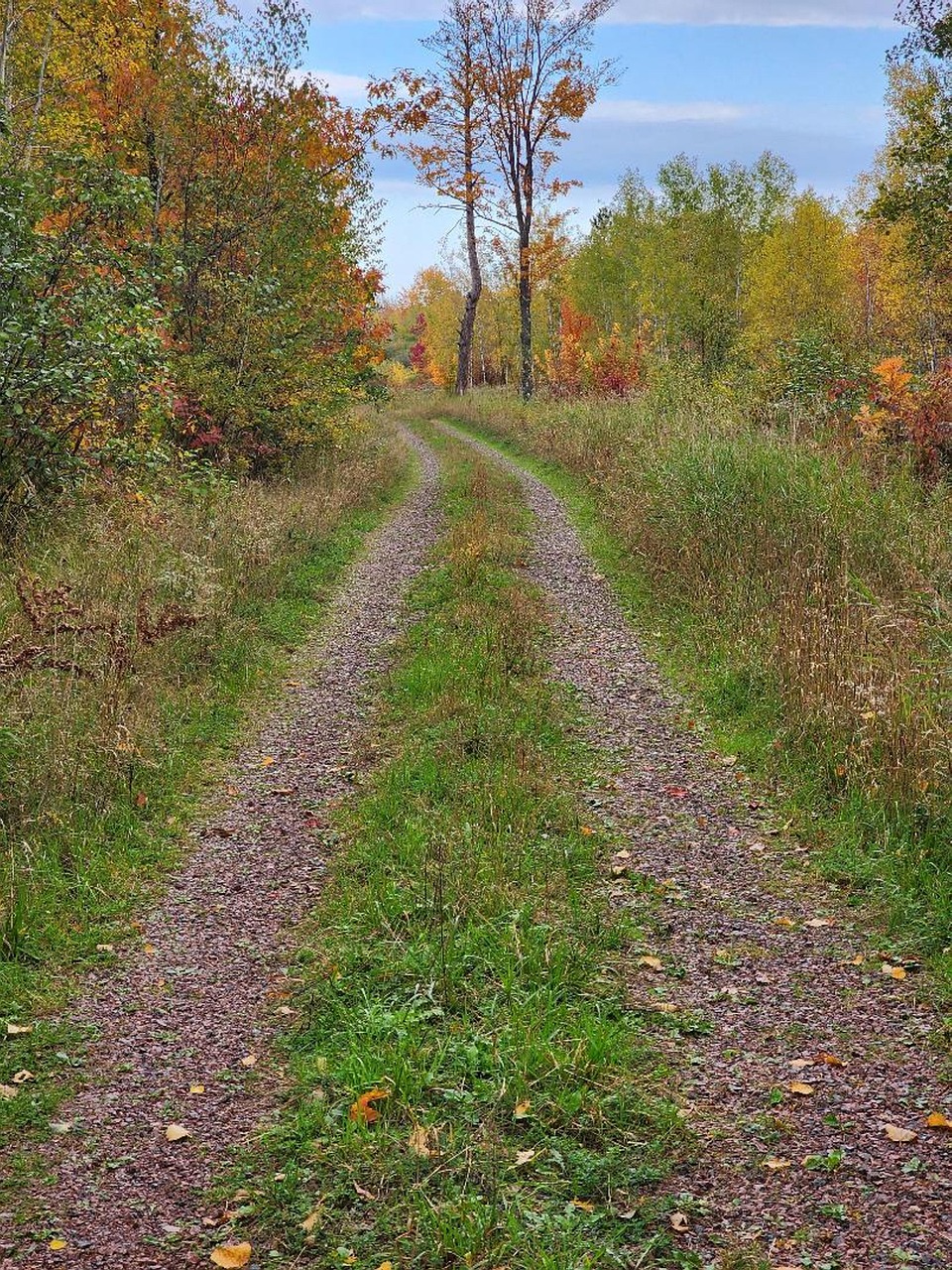 Autumn Colors Country Road - Free photo on Pixabay - Pixabay