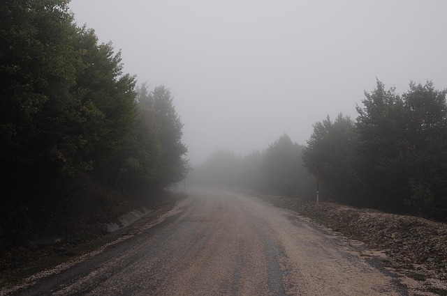 Fog Foggy Path - Free photo on Pixabay - Pixabay