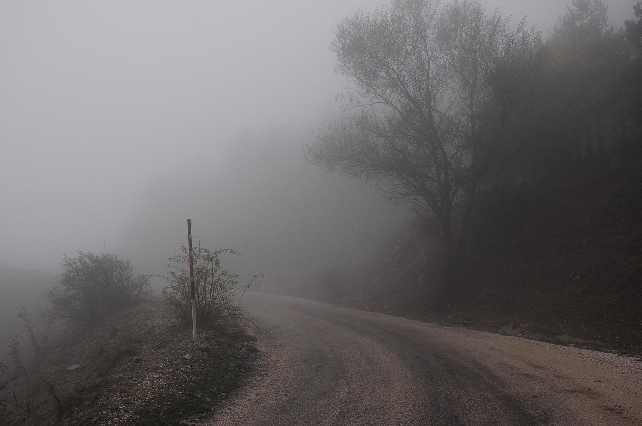 Fog Foggy Weather Forecast - Free photo on Pixabay - Pixabay