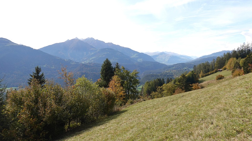 Wiese Wald Herbst - Kostenloses Foto auf Pixabay