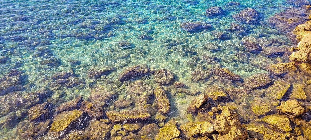 L'Eau Mer Lac - Photo gratuite sur Pixabay - Pixabay