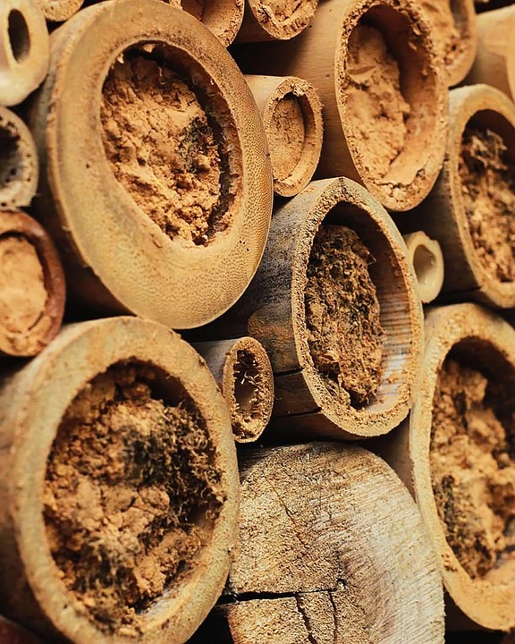 Wood Forest Lumber - Free photo on Pixabay