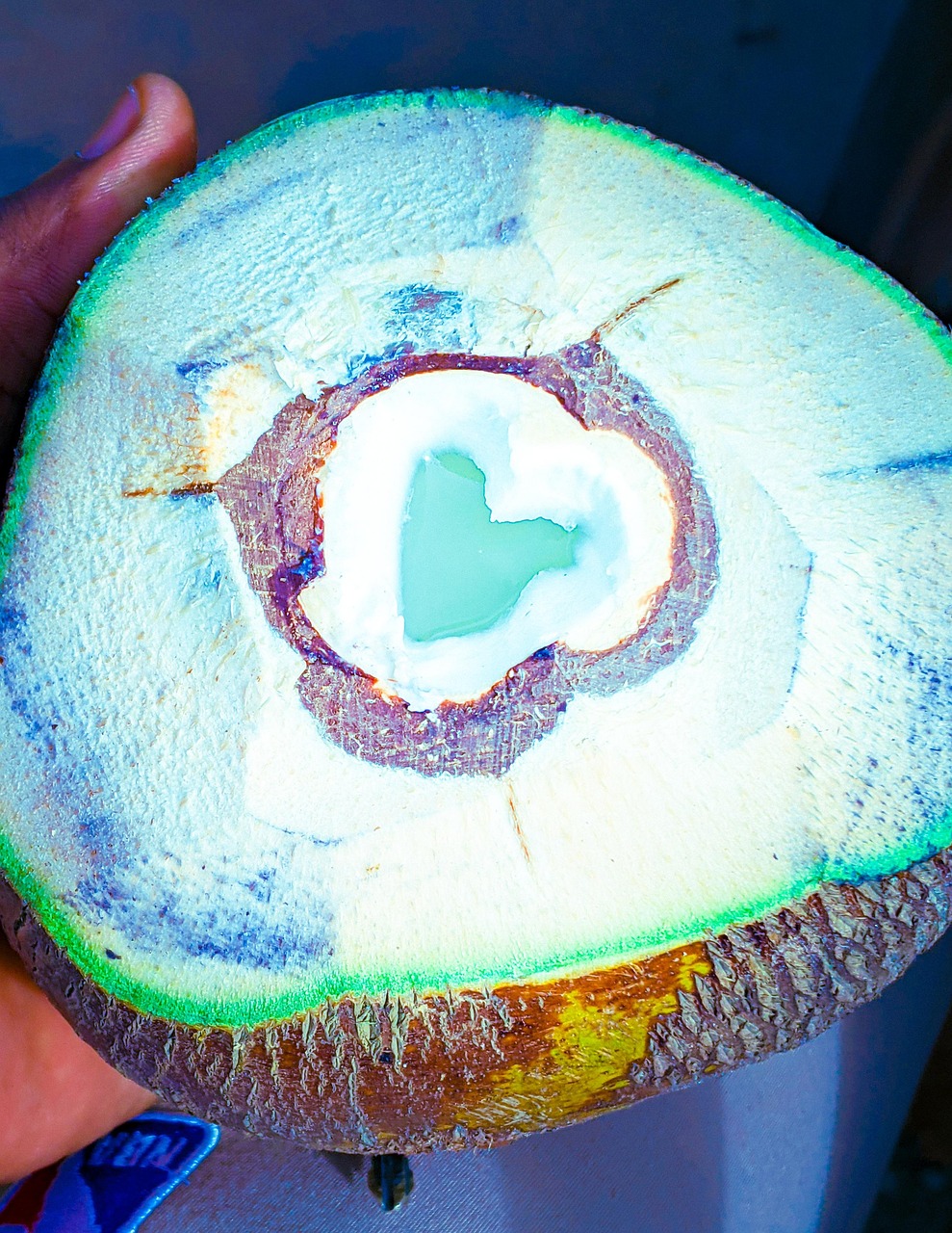 Coconut Nature Heart - Free photo on Pixabay - Pixabay