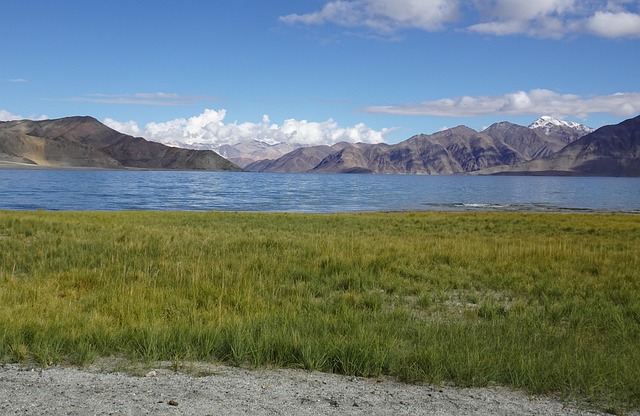 Pangong Tso Lake Brackish - Free photo on Pixabay - Pixabay