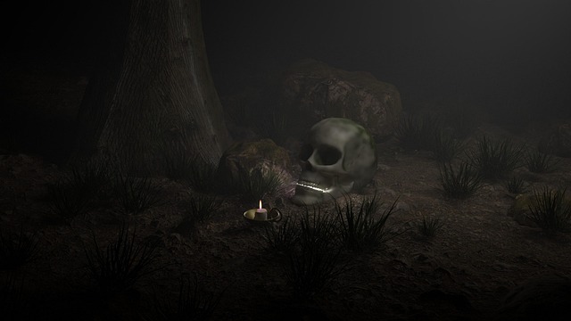 Skull Horror Fear - Free photo on Pixabay