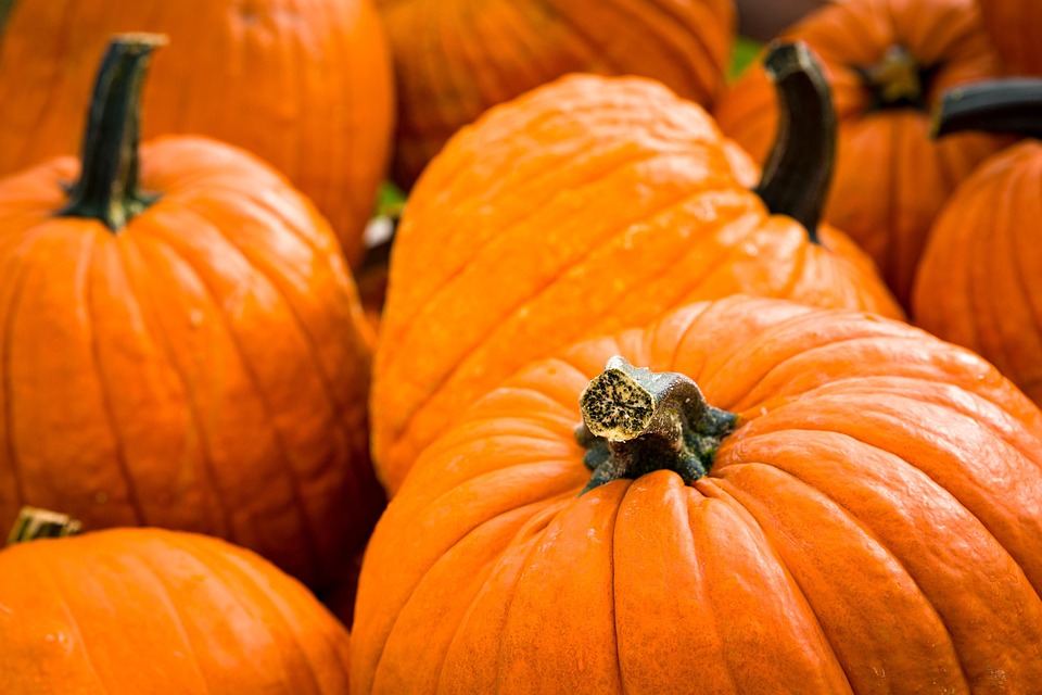 Citrouilles Tombe Automne - Photo gratuite sur Pixabay