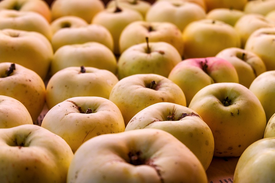 Apples Fruit Food - Free photo on Pixabay