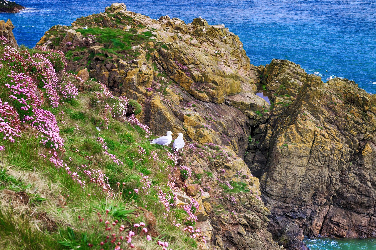 Cliff Beach Sea - Free photo on Pixabay - Pixabay