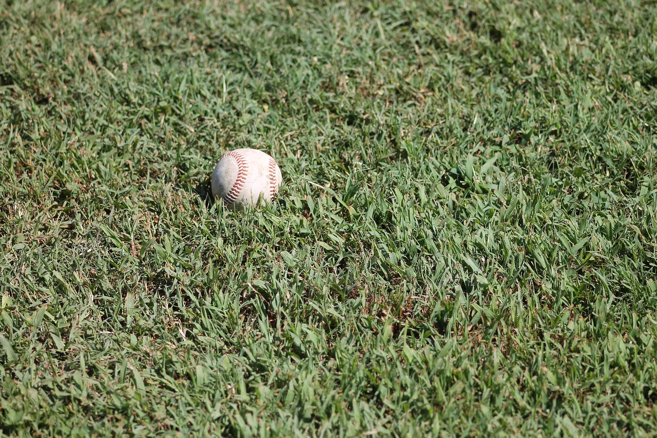 Baseball Field Grass - Free photo on Pixabay