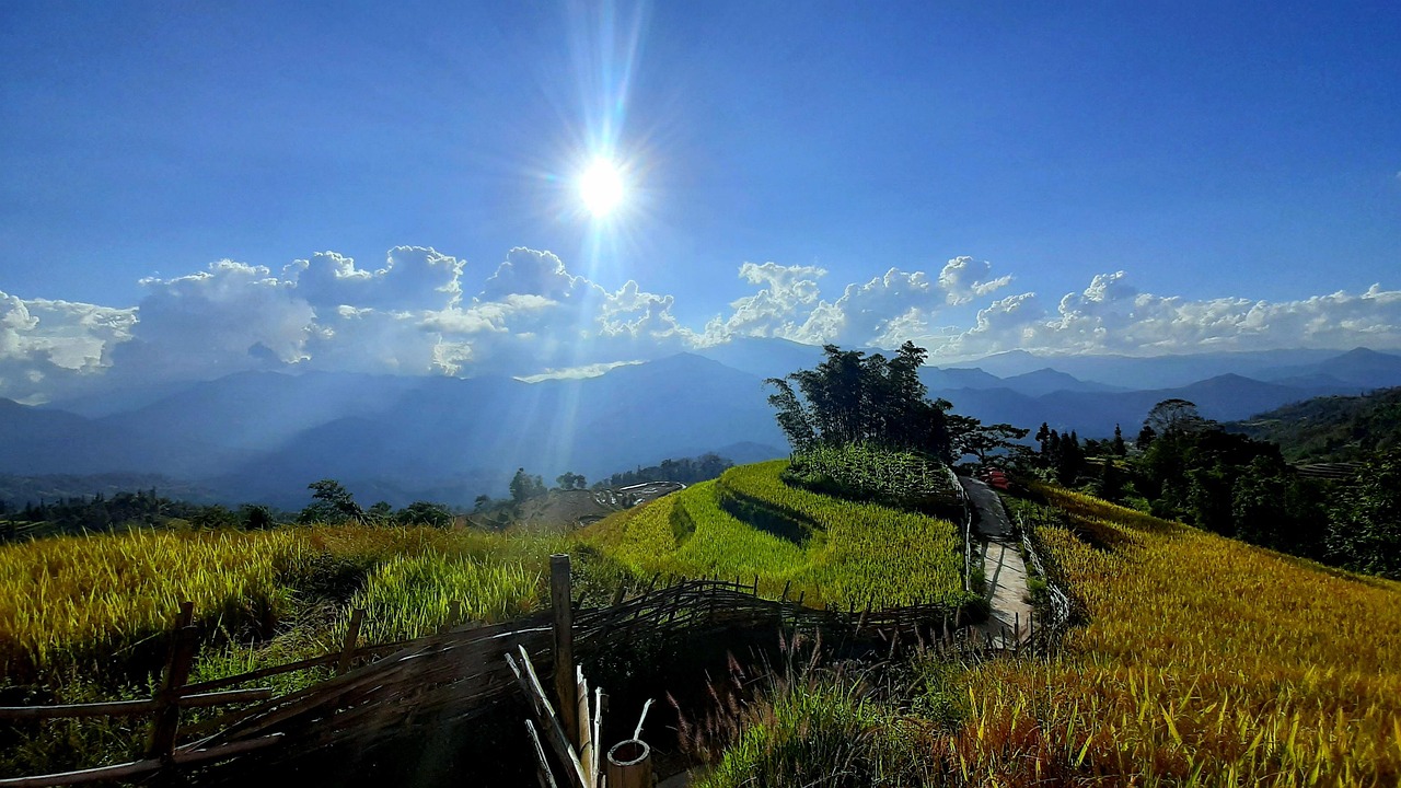 Teras Sore Di Piring - Foto gratis di Pixabay - Pixabay