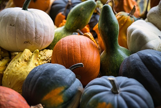 Pumpkins Halloween Vegetables - Free photo on Pixabay