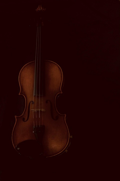 Violin Music Instrument Musical - Free photo on Pixabay